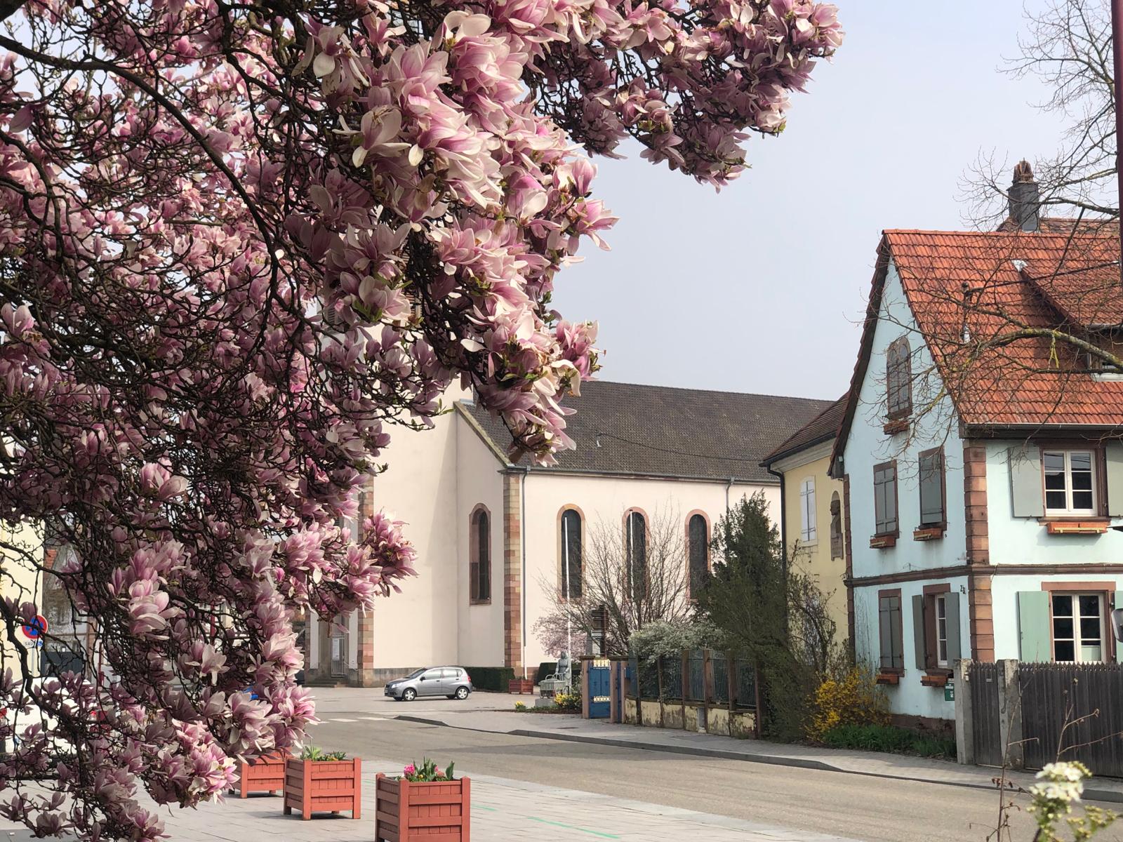 Bienvenue ! - Commune de Hoerdt