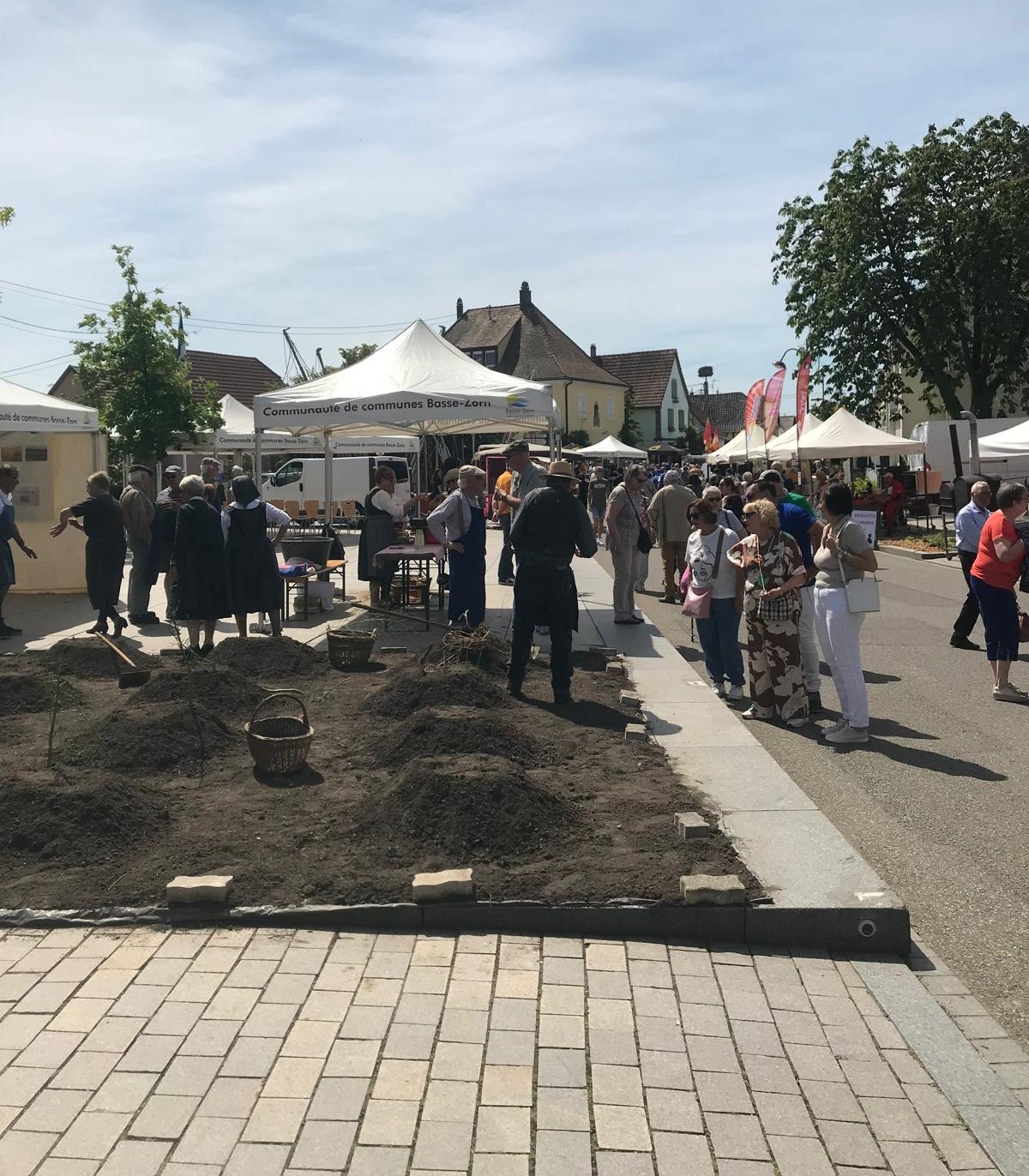 La Fête des Asperges - Commune de Hoerdt