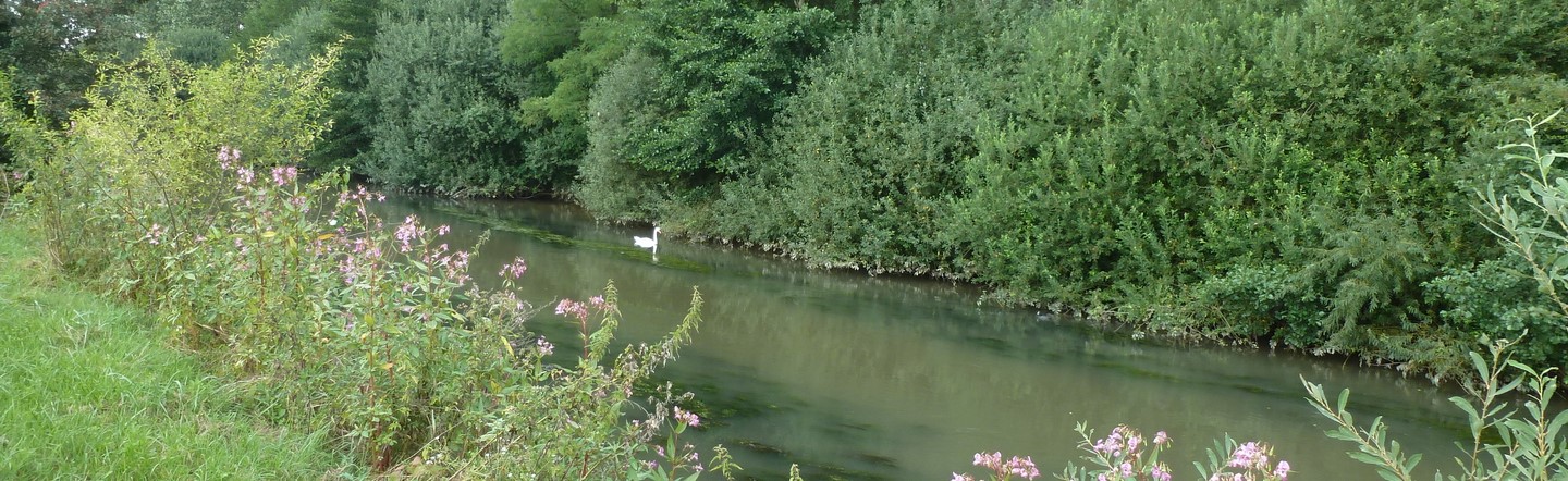 L'intercommunalité - Commune de Hoerdt