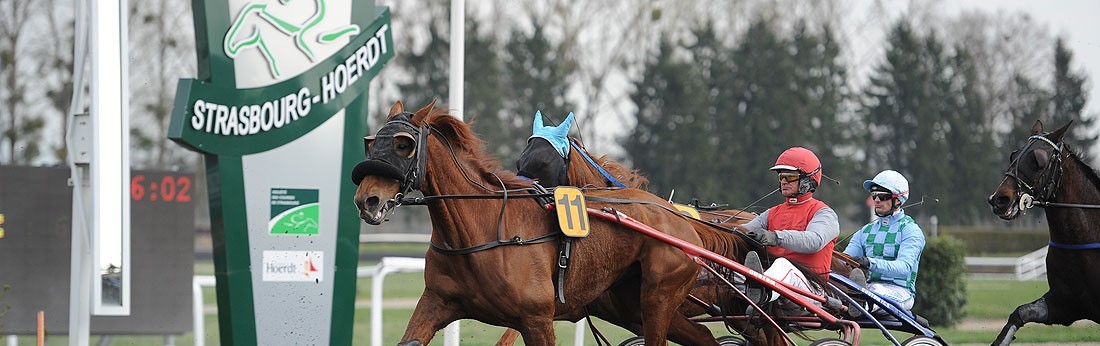 L'Hippodrome - Commune de Hoerdt